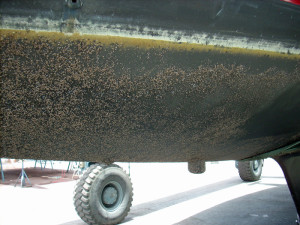 Dirty Bottoms - Cream Puff - Life's Sweet Treat