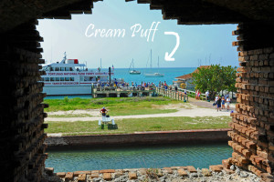 The Dry Tortugas - Cream Puff - Life's Sweet Treat