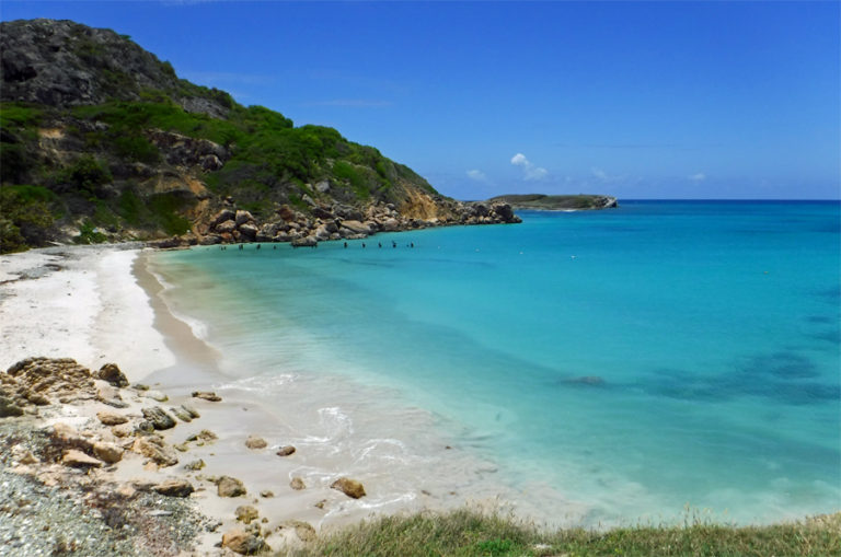 Caja de Muertos (or Coffin Island) - Cream Puff - Life's Sweet Treat