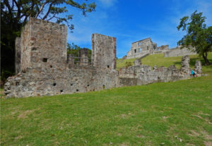 Martinique – The Victory Lap - Cream Puff - Life's Sweet Treat