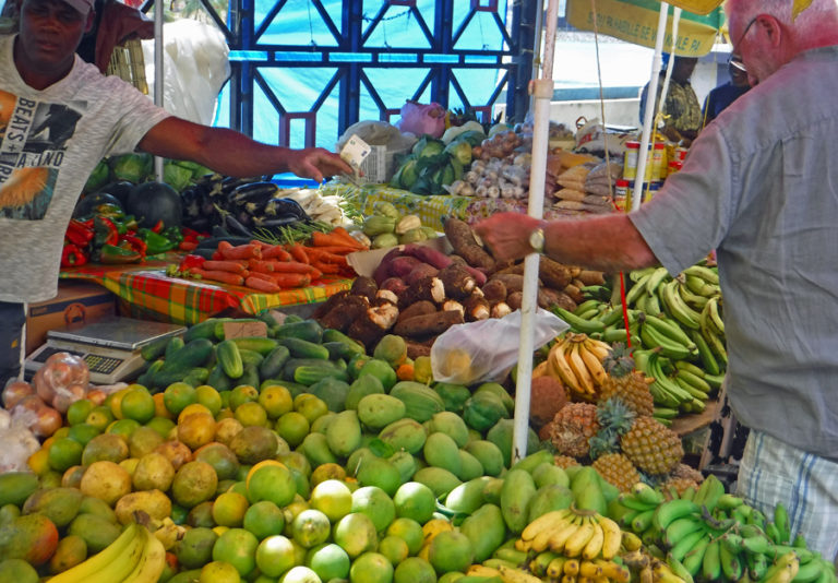 The Rescue and a Walkabout – Gwada - Cream Puff - Life's Sweet Treat