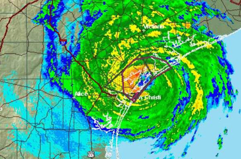 Rockport Strong - Cream Puff - Life's Sweet Treat