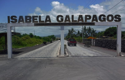 Isabela Island, Galápagos - Cream Puff - Life's Sweet Treat