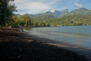 Tahiti is Beautiful - Cream Puff - Life's Sweet Treat