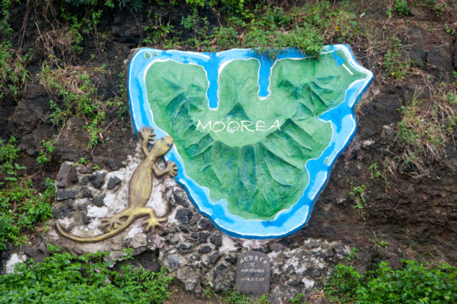 Mo’orea – Part 1 - Cream Puff - Life's Sweet Treat